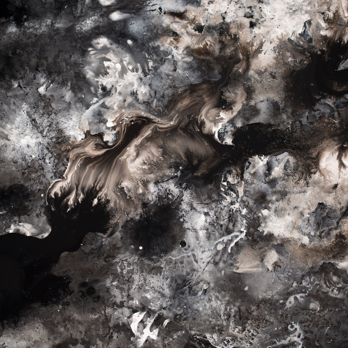 Alder & Ash ~ Clutched in the Maw of the World | a closer listen