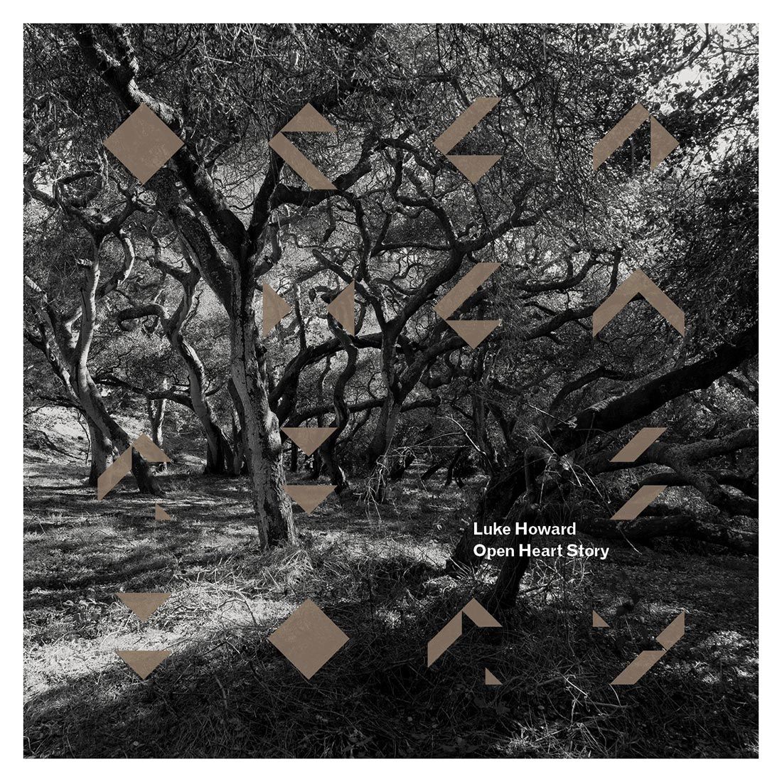 Luke Howard ~ Open Heart Story | a closer listen