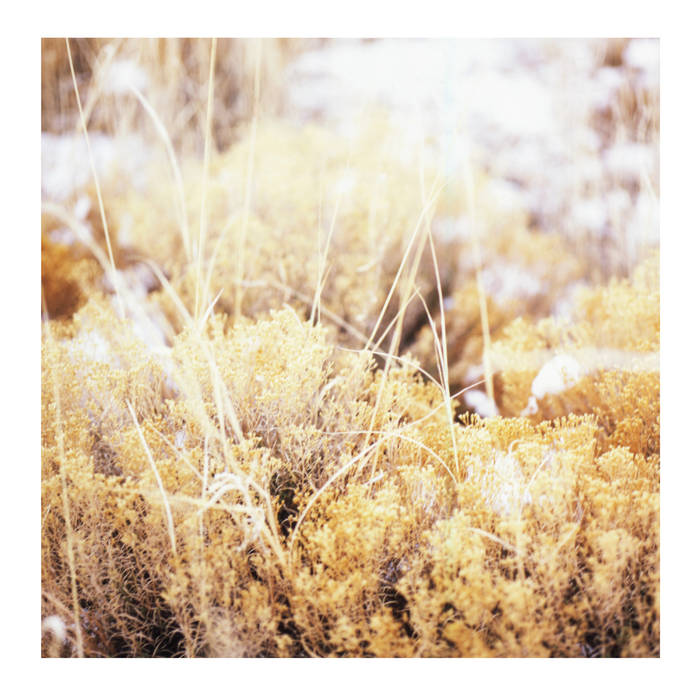 Mamiffer ~ The Brilliant Tabernacle | a closer listen