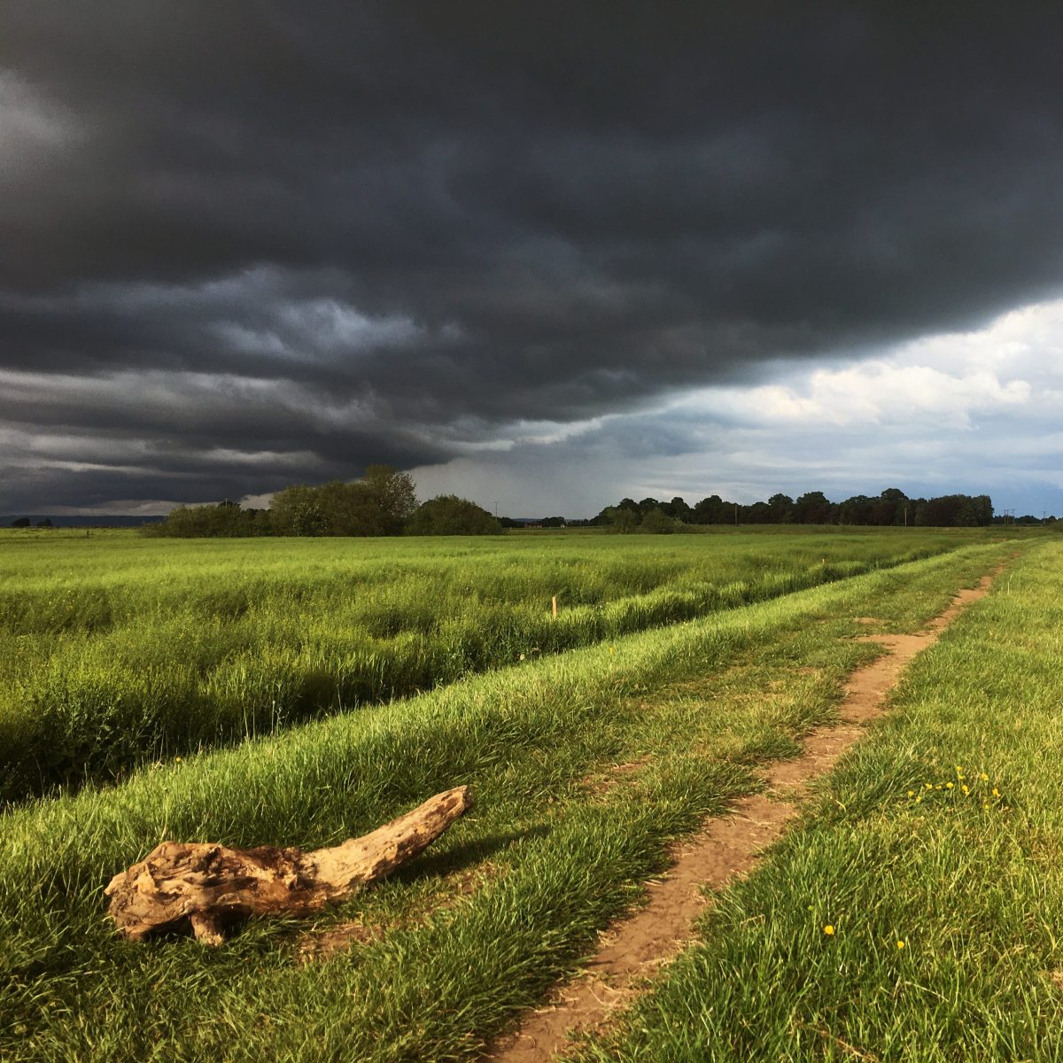 Rose Ferraby & Rob St. John ~ Soundmarks | a closer listen