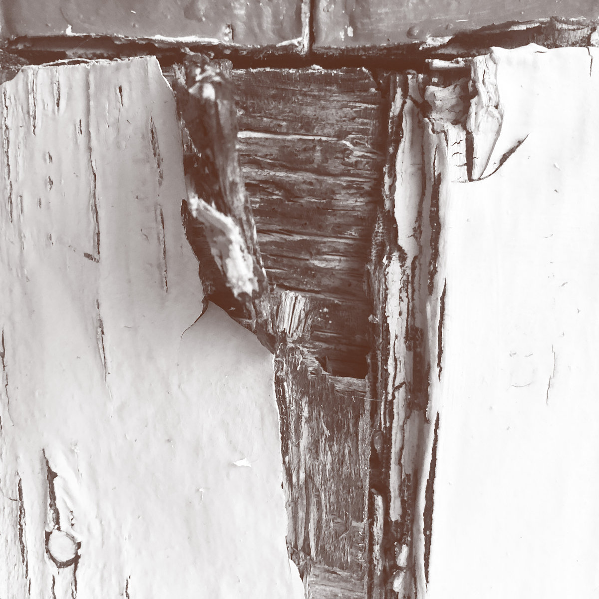 Ian Wellman ~ The House that Ate Itself / Kin Leonn & Hiroshi Ebina ...