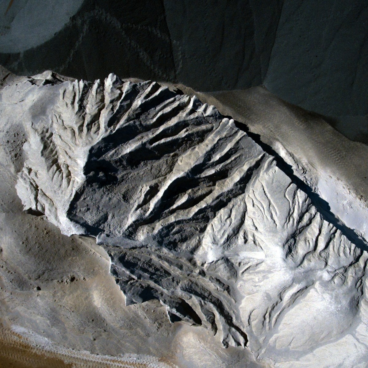 Jeremy Bible ~ Broken Ecologies | a closer listen