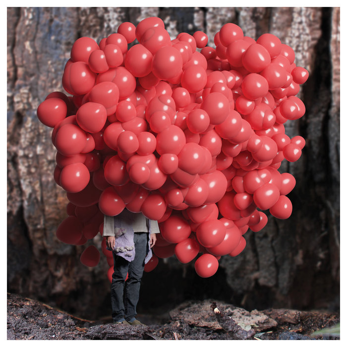 David Lord ~ Forest Standards Vol. 2 | a closer listen