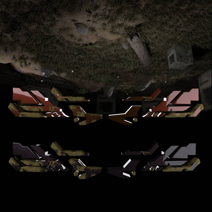 Shelf Nunny ~ Pronoia | a closer listen