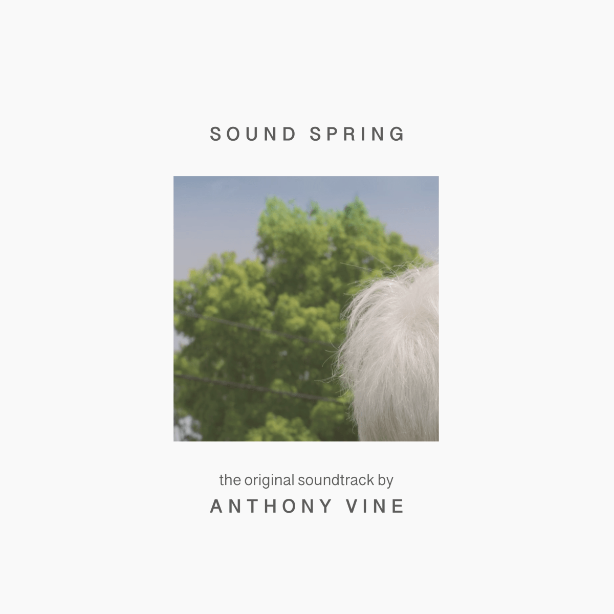 Anthony Vine ~ Sound Spring | a closer listen
