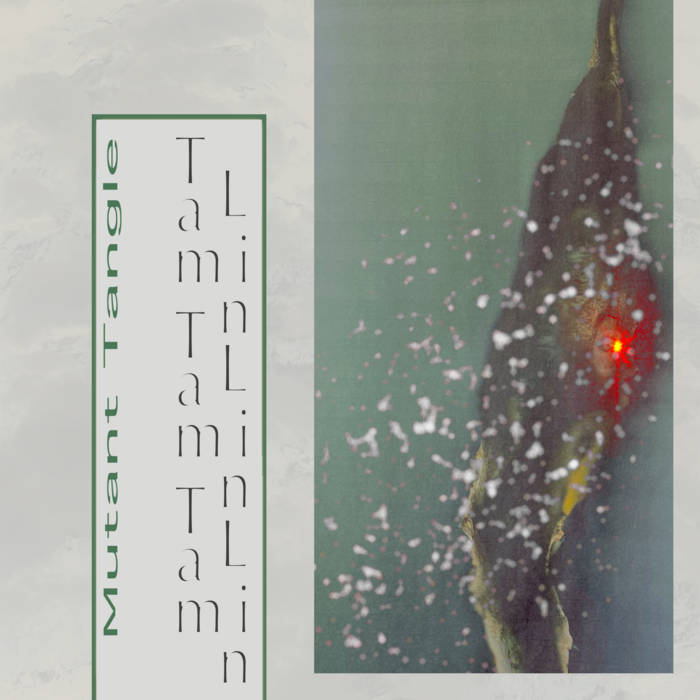 tam lin | a closer listen