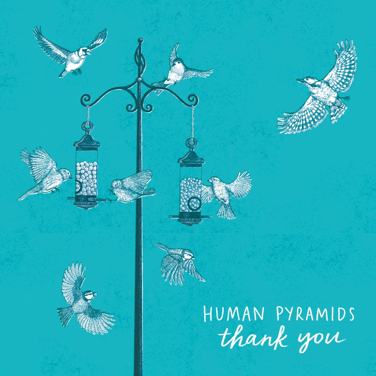 Human Pyramids ~ Thank You | a closer listen
